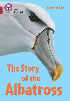 The Story of the Albatross by Catherine Barr | Paper Plus