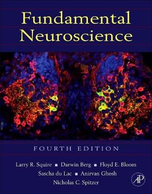 Fundamental Neuroscience by | Paper Plus