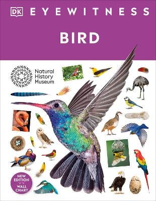 Bird by DK | Paper Plus