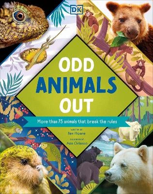 Odd Animals Out by Ben Hoare | Paper Plus