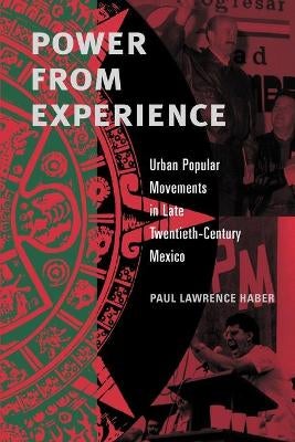 Power from Experience by Paul Lawrence Haber | Paper Plus