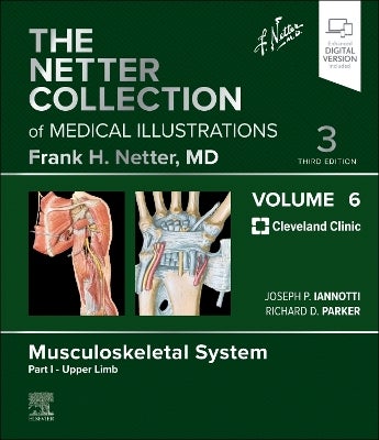 The Netter Collection of Medical Illustrations: Musculoskeletal System ...