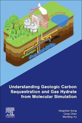 Understanding Geologic Carbon Sequestration and Gas Hydrate from Molecular Simulation by ...