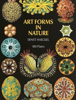 Forms In Nature Beautiful