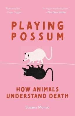Playing Possum by Susana Monsó | Paper Plus
