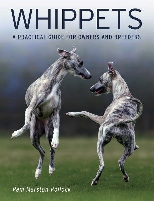 Whippets by Pam Marston-Pollock | Paper Plus