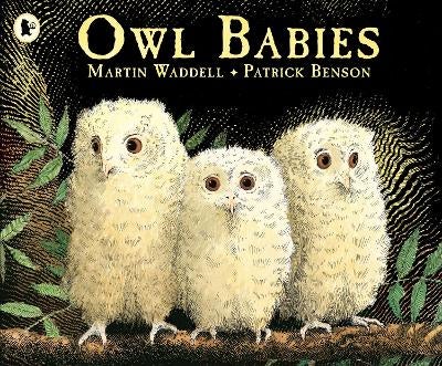 Owl Babies by Martin Waddell | Paper Plus