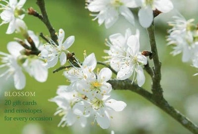 Card Box of 20 Notecards and Envelopes: Blossom by Anness Punlishing ...