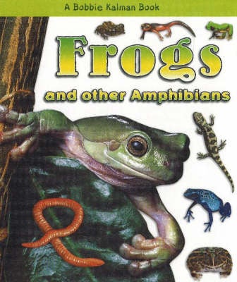 Frogs and Other Amphibians by Bobbie Kalman | Paper Plus