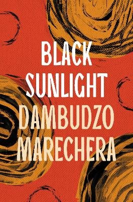 Black Sunlight by Dambudzo Marechera | Paper Plus