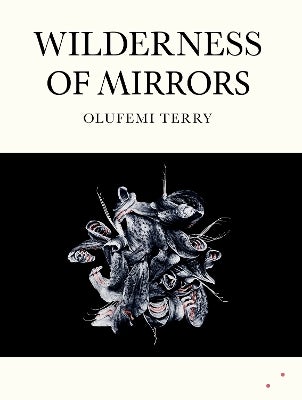Wilderness of Mirrors by Olufemi Terry | Paper Plus