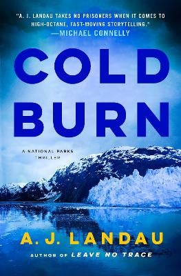 Cold Burn by A. J. Landau | Paper Plus