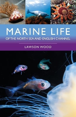 Marine Life of the North Sea and English Channel by Lawson Wood | Paper ...