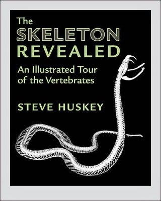 The Skeleton Revealed by Steve Huskey | Paper Plus