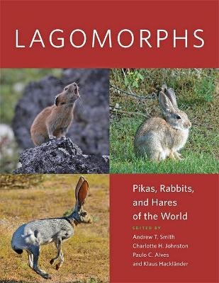 Lagomorphs by | Paper Plus