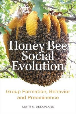 Honey Bee Social Evolution by Keith S. Delaplane | Paper Plus