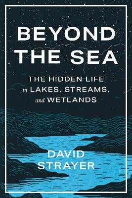 Beyond the Sea by David Strayer | Paper Plus