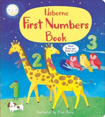 First Numbers Book by Mary Cartwright, Matthew Oldham | Paper Plus