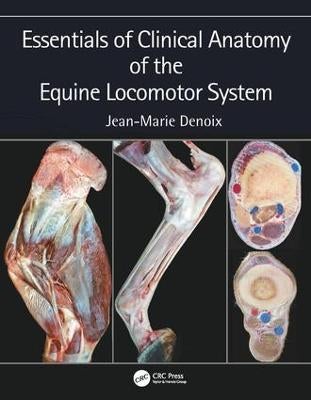 Essentials of Clinical Anatomy of the Equine Locomotor System by Jean ...