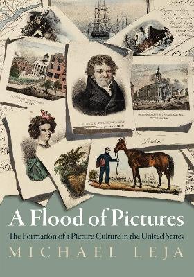 A Flood of Pictures by Michael Leja | Paper Plus