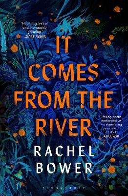 It Comes from the River by Rachel Bower | Paper Plus