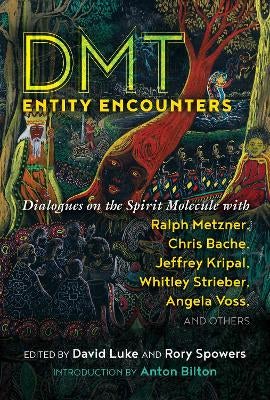 DMT Entity Encounters by | Paper Plus