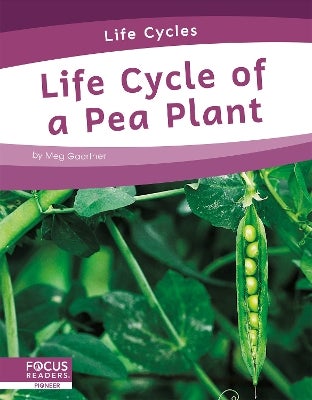 Life Cycles: Life Cycle of a Pea Plant by Meg Gaertner | Paper Plus
