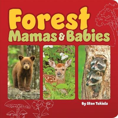 Forest Mamas and Babies by Stan Tekiela | Paper Plus