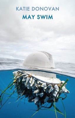 May Swim by Katie Donovan | Paper Plus