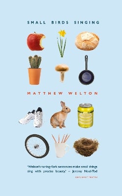 Small Birds Singing by Matthew Welton | Paper Plus