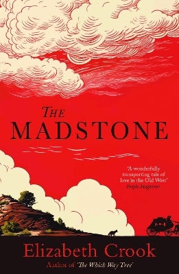 The Madstone by Elizabeth Crook | Paper Plus