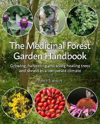 The Medicinal Forest Garden Handbook by Anne Stobart | Paper Plus