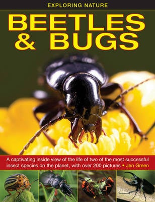 Exploring Nature: Beetles & Bugs by Jen Green | Paper Plus