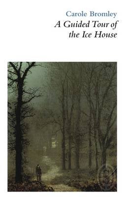 A Guided Tour of the Ice House by | Paper Plus