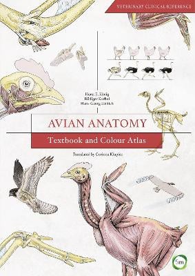 Avian Anatomy 2nd Edition by Horst Erich Konig | Paper Plus