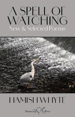 A Spell of Watching by Hamish Whyte | Paper Plus
