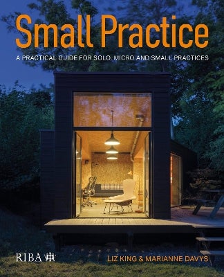 Small Practice by Liz King, Marianne Davys | Paper Plus