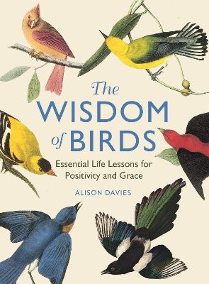 The Wisdom of Birds by Alison Davies | Paper Plus