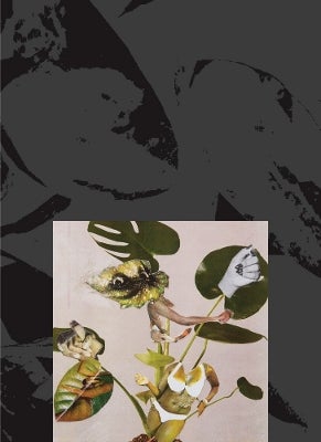 Kandis Williams: A Surface by | Paper Plus