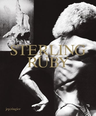 Sterling Ruby by Robert Hobbs, Jorg Heiser, Catherine Taft | Paper Plus