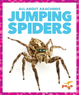 Jumping Spiders by Becca Becker | Paper Plus