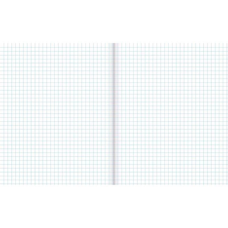 Warwick Exercise Book 1E5 36 Leaf Quad 7mm 255x205mm (QB Equivalent ...