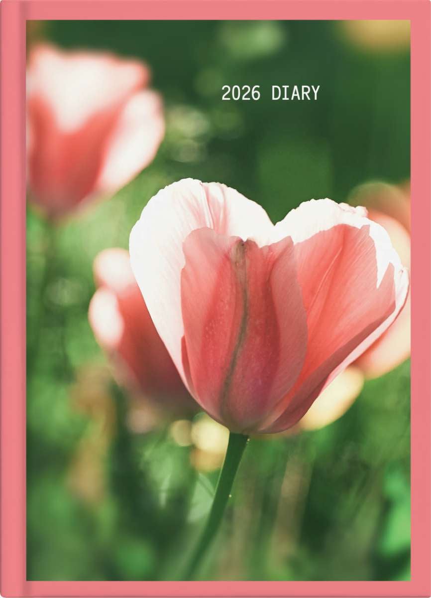 2026 Collins A51 Day to Page Floral Diary | Paper Plus