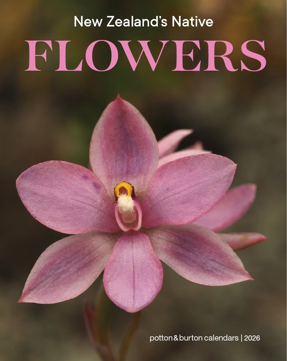 2026 New Zealand Native Flowers Calendar | Paper Plus