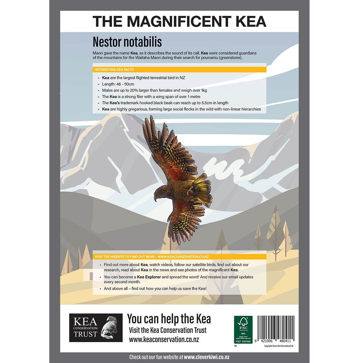 Clever Kiwi Kea Studies Book | Paper Plus
