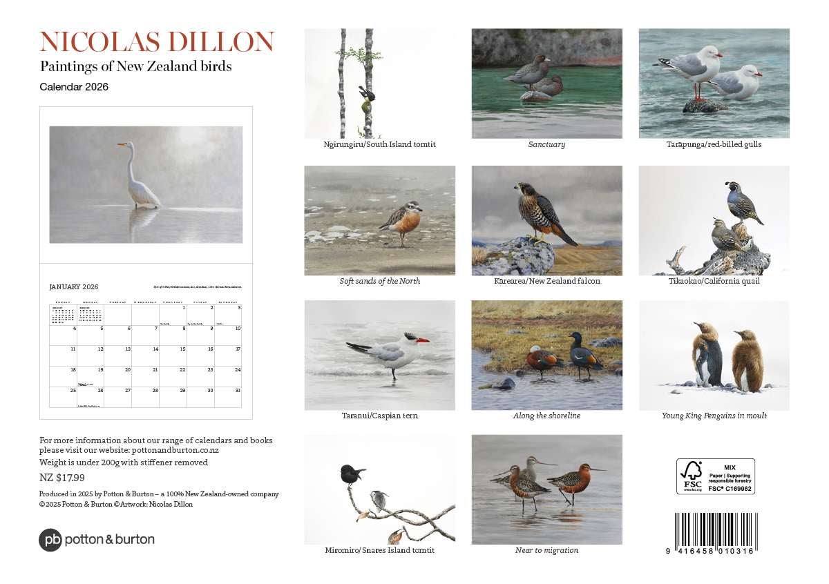 2026 Nicolas Dillon New Zealand Bird Paintings Calendar | Paper Plus
