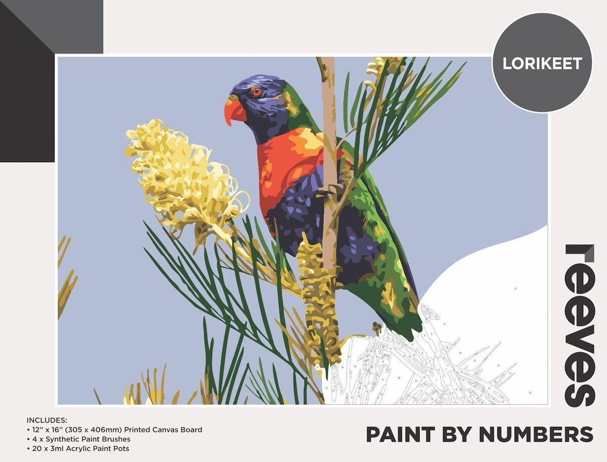 PAINT BY NUMBERS - Paper Plus