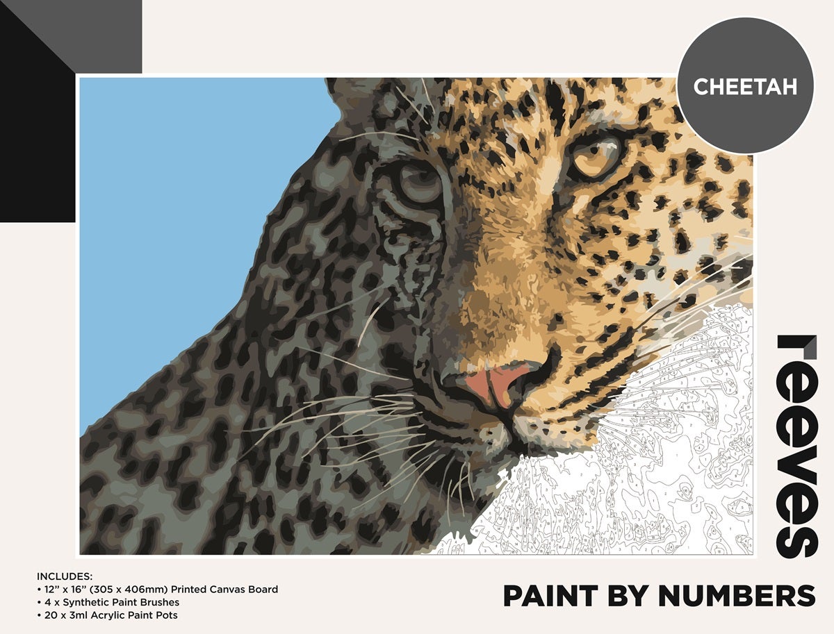 Reeves Paint By Numbers 12x16 Inch, Cheetah | Paper Plus