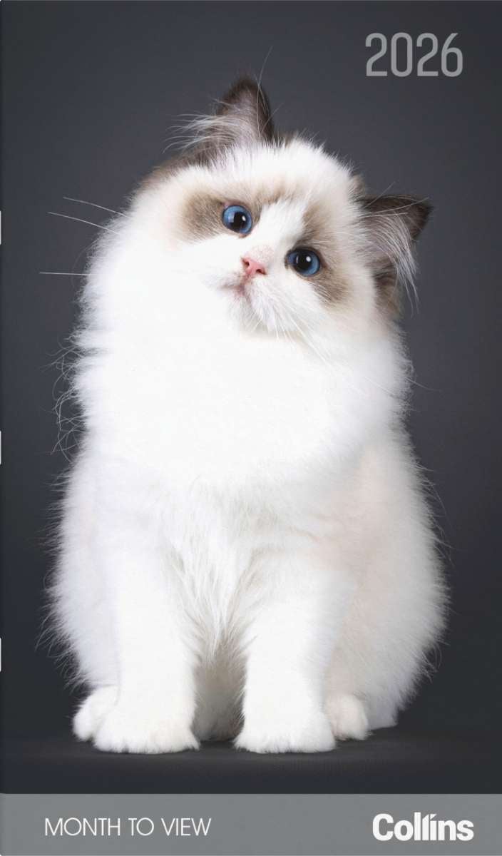 2026 Collins Diary Cats & Dogs Month to View | Paper Plus
