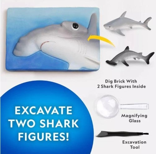 National Geographic: Shark Dig Kit | Paper Plus
